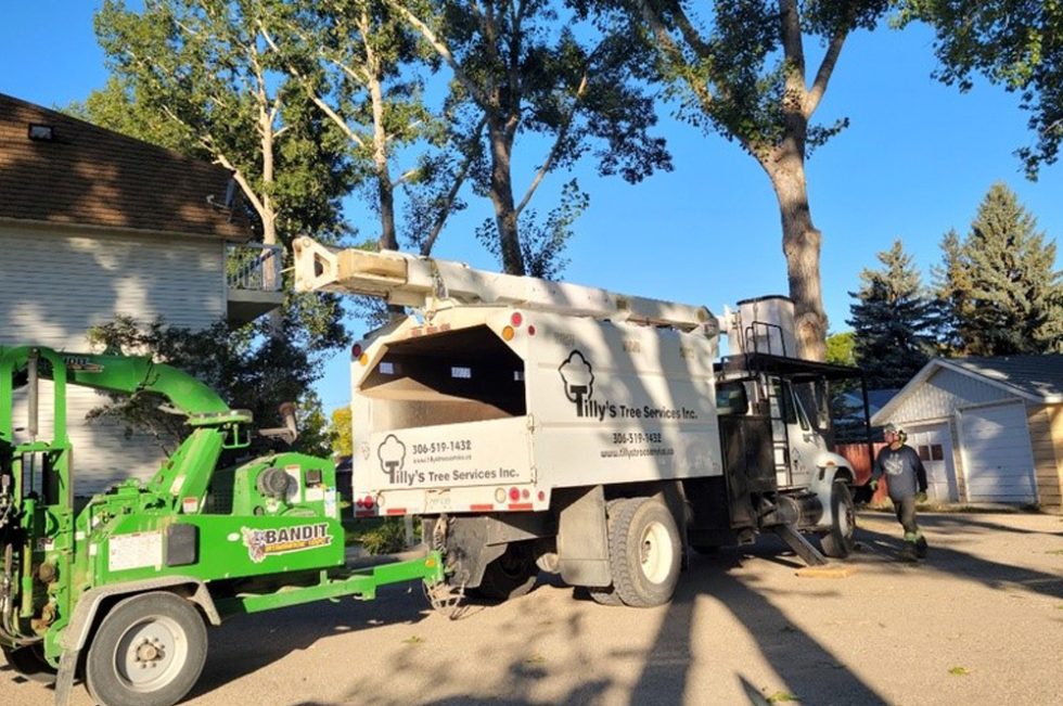 About - Tilly's Tree Services Inc | Regina, SK